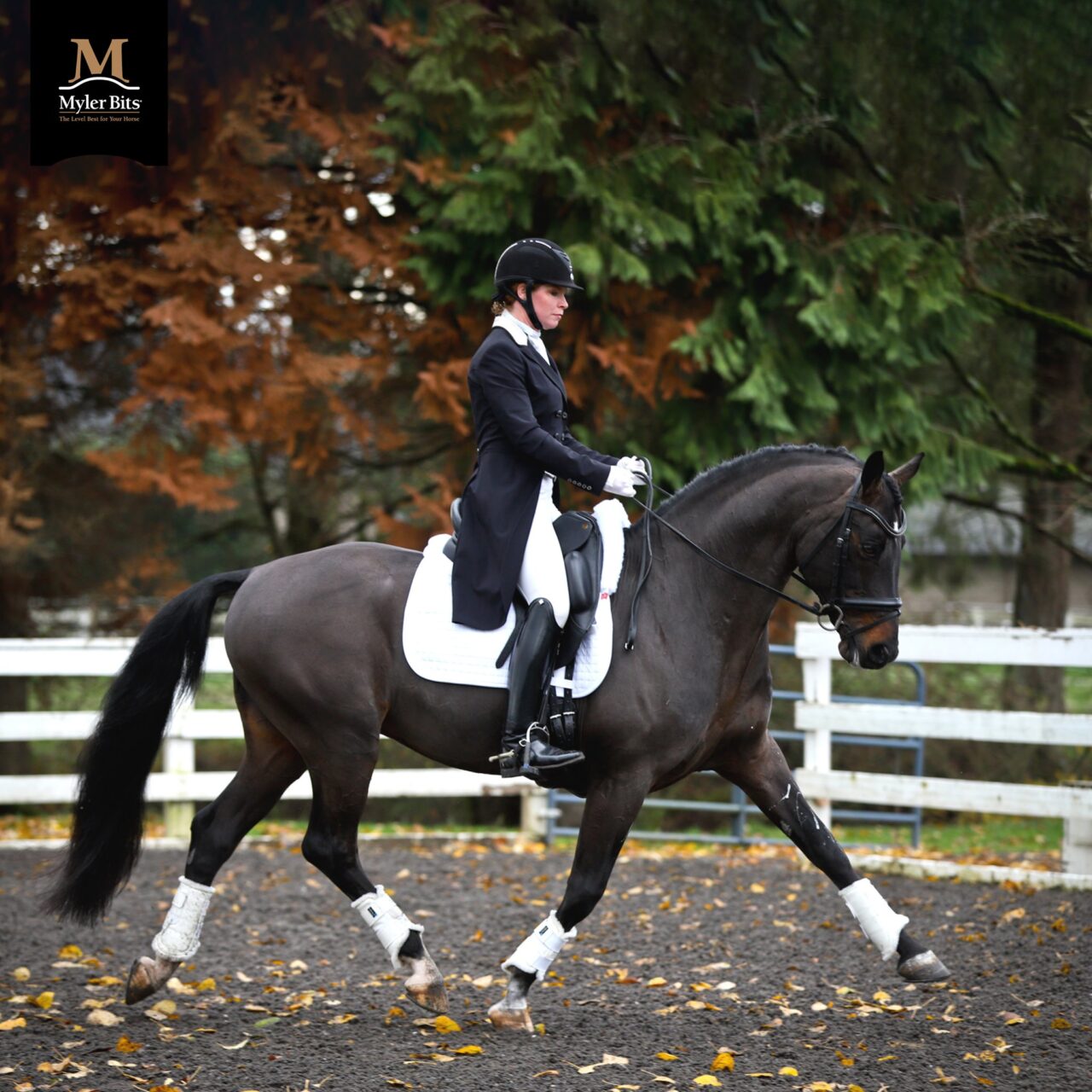 Testen Myler Bit - De Paardenschuur