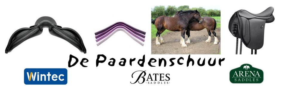 Het juiste zadel voor brede en ronde paarden - De Paardenschuur