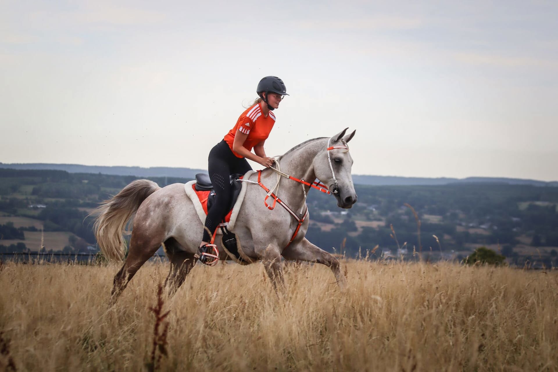 Endurance zadels - De Paardenschuur